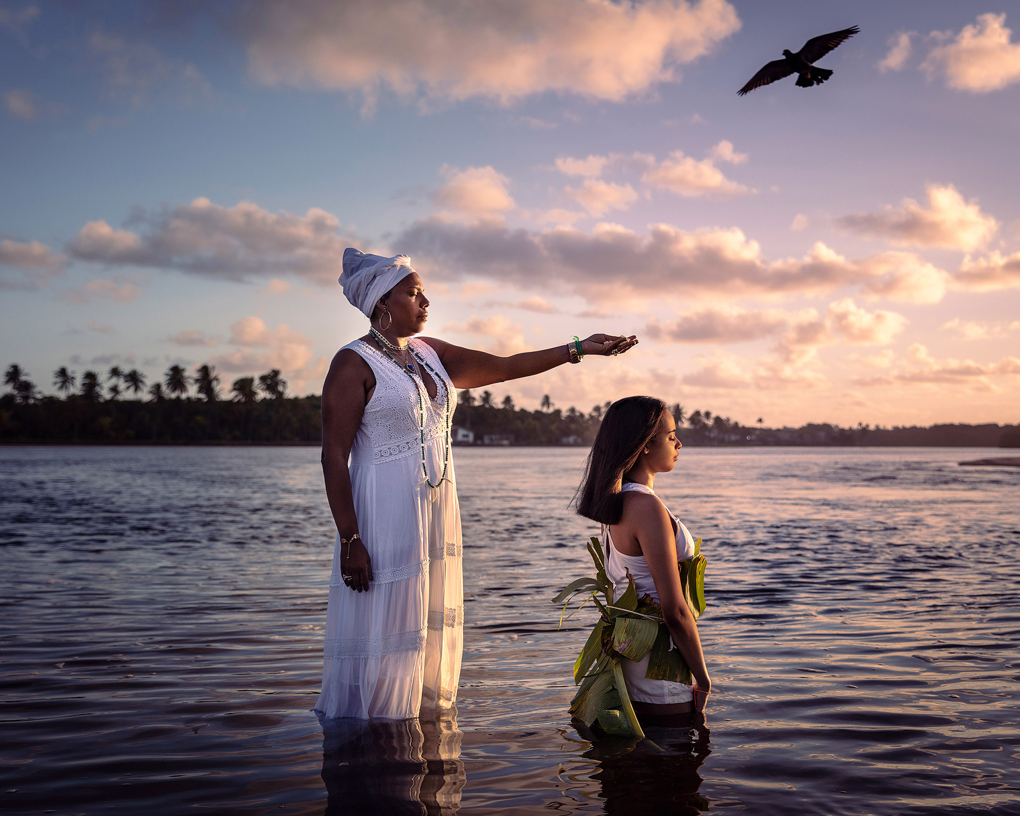 Gui Christ | Photographer